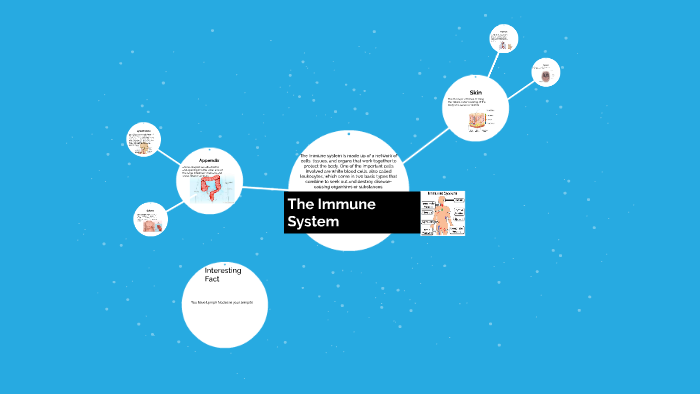 The Immune System by Ryley Watson on Prezi
