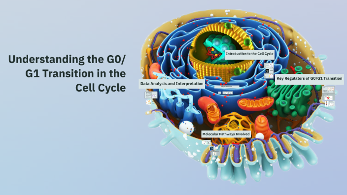 Understanding the G0/G1 Transition in the Cell Cycle by shakir Smith on ...