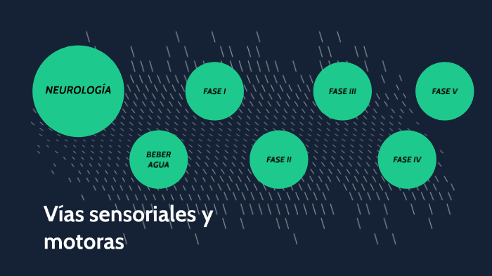 Vías sensoriales y motoras by Carlos Reyes Martínez on Prezi
