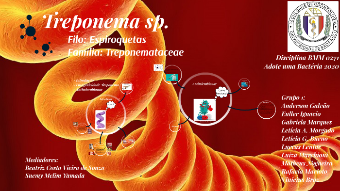 Treponema spp. by Anderson Galvão on Prezi