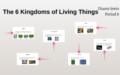The 6 Kingdoms of Living Things by diante lewis on Prezi