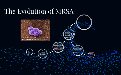 The Evolution of MRSA by Evie Kupsky on Prezi