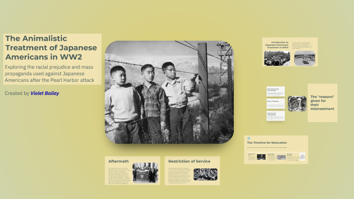 The Absurd Mistreatment of Japanese Americans during WW2 by Violet ...