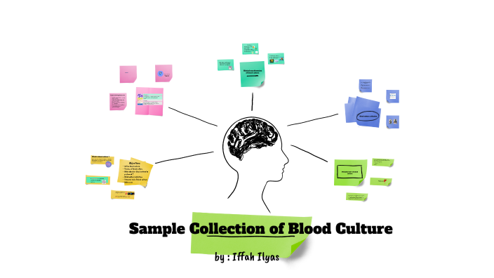 Sample collection of Blood Culture by iffah ilyas on Prezi