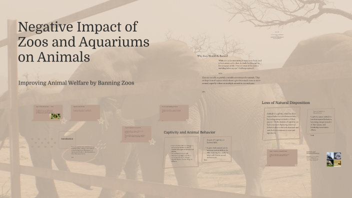 Negative Impact of Zoos and Aquariums on Animals by Alexandra Portante ...