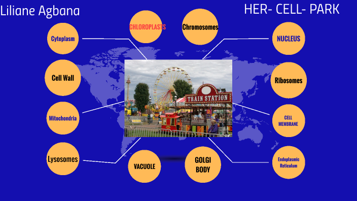 Cell Amusement Park by Liliane Agbana on Prezi