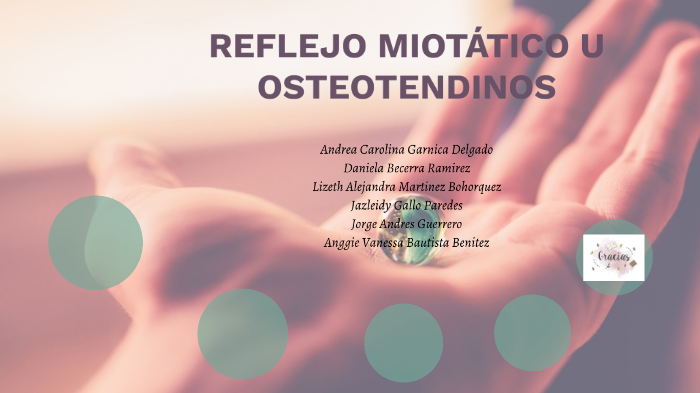 Reflejo miotatico by LIZETH ALEJANDRA MARTINEZ BOHORQUEZ on Prezi