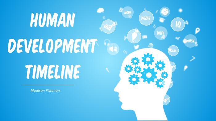 Human Development Timeline by Madison Fishman on Prezi
