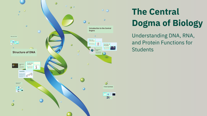 The Central Dogma of Biology by Patrick Rosanelli on Prezi