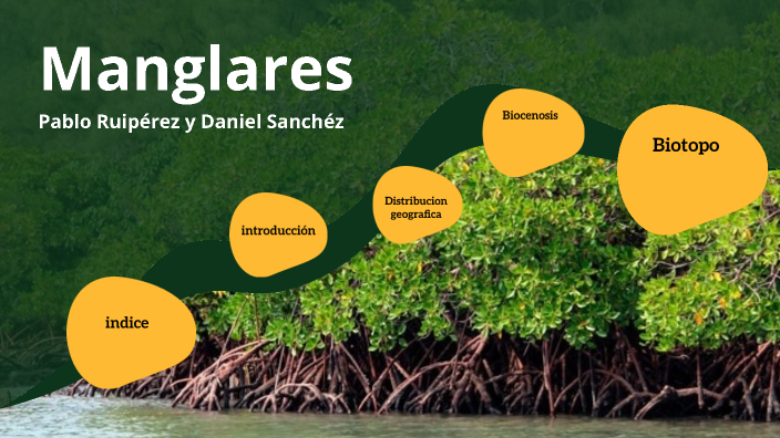 Bioma Manglar by Pablo Ruiperez on Prezi