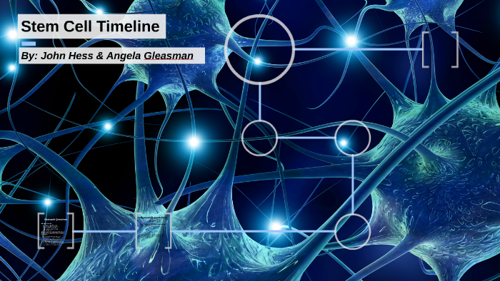 Stem Cell Timeline by Angela Gleasman on Prezi