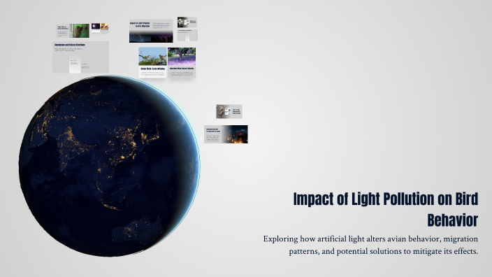 Impact of Light Pollution on Bird Behavior by Reagan Kersten on Prezi