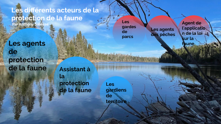 Différents acteur de la protection de la faune by Anthony Salesse on Prezi