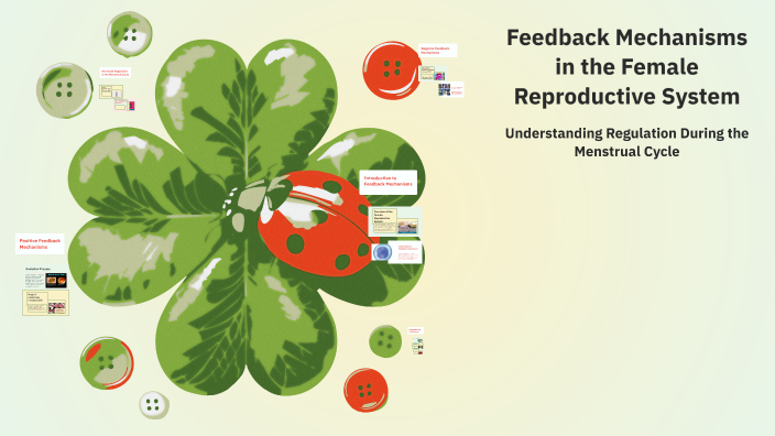 Feedback Mechanisms in the Female Reproductive System by Jeffry ...