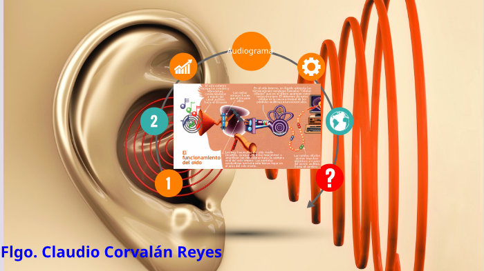 Fisiología de la Audición y Estímulos Auditivos by kno Corvalán on Prezi