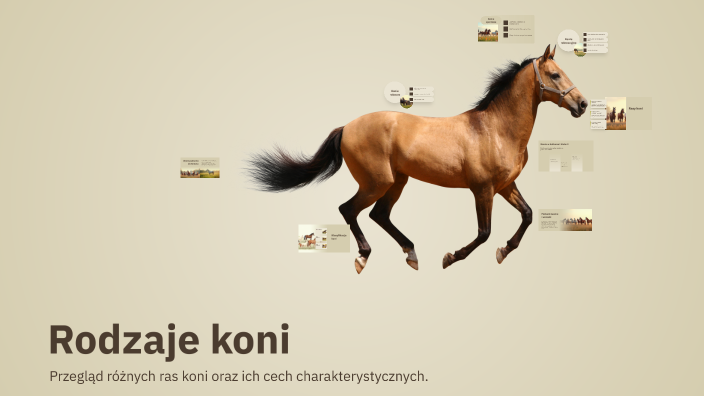 Rodzaje koni by kamila faucz on Prezi