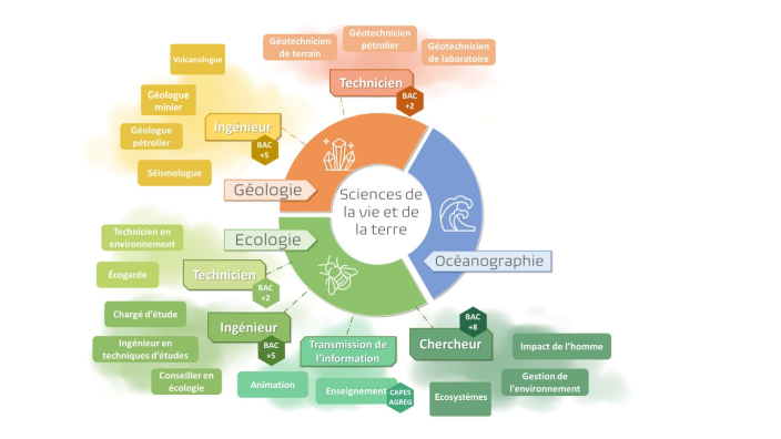 Carte des métiers 2 by Camille Jeuffroy on Prezi