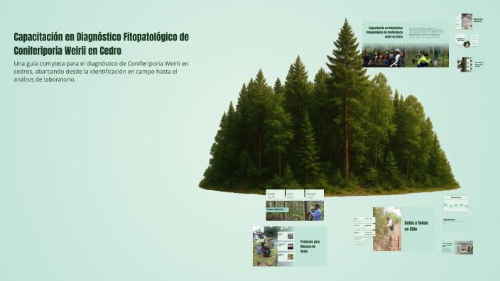 Capacitación en Diagnóstico Fitopatológico de Coniferiporia Weirii en ...