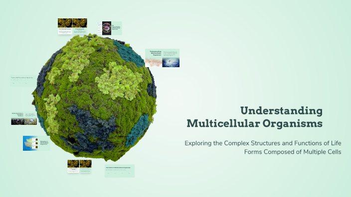 Understanding Multicellular Organisms by Jenelyn Bilan on Prezi