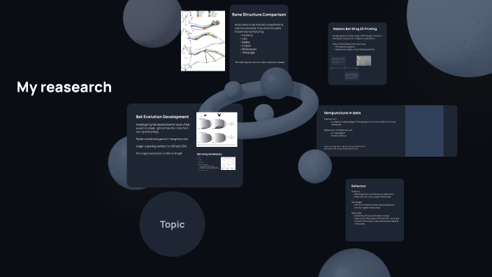 Anatomy of Bat Wings by Jeena Hunjan on Prezi