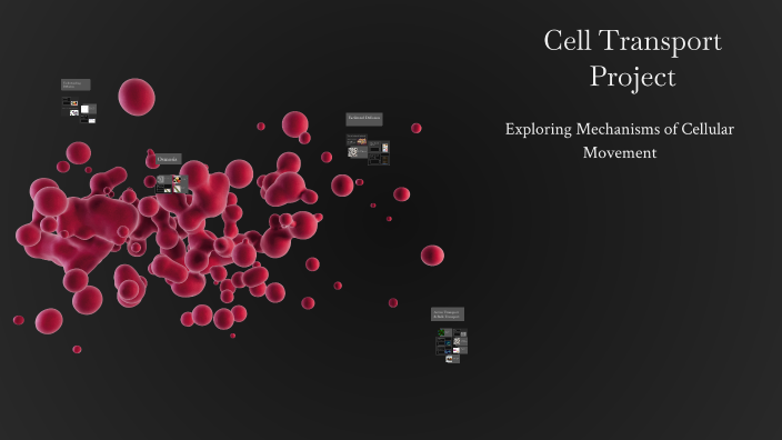 Cell Transport Project by Pap Lo (LN 10) on Prezi