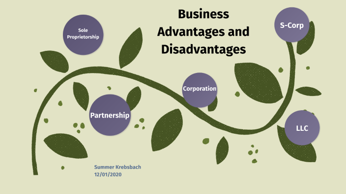 Business advantages and disadvantages by summer krebsbach on Prezi