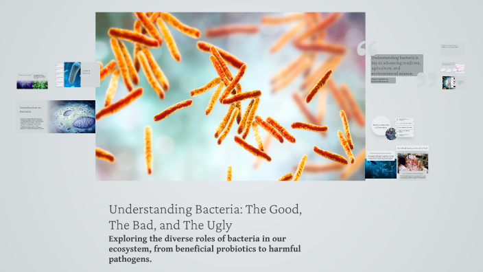 Understanding Bacteria: The Good, The Bad, and The Ugly by رحاب السابعي ...