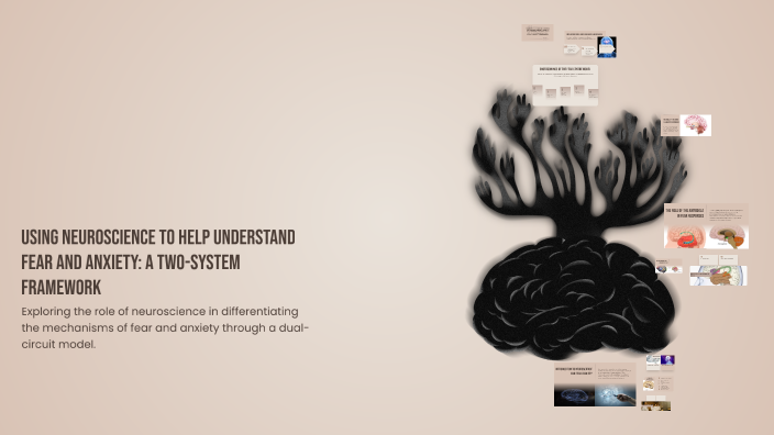Using Neuroscience to Help Understand Fear and Anxiety: A Two-System ...