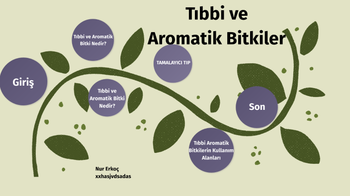 Tıbbi ve Aromatik Bitkiler by Wrexly on Prezi