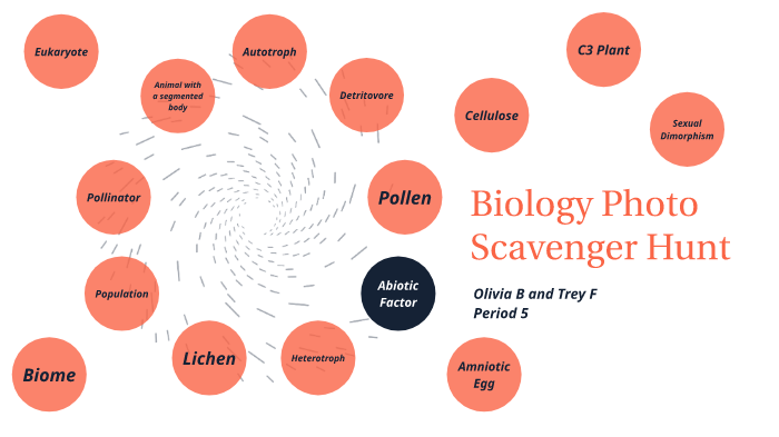 Bio Scavenger Hunt by olivia battista on Prezi