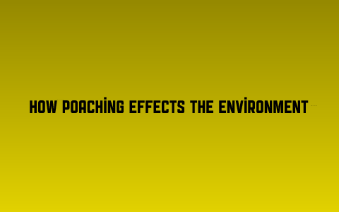 How Poaching Effects The Environment by Dee Ray on Prezi