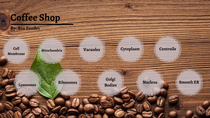 cell analogy project: coffee shop by Ava Zander on Prezi