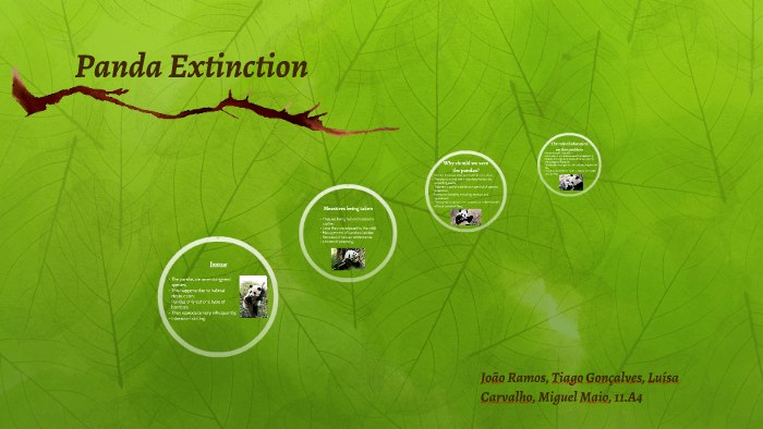 Panda Extinction by Francisco Ramos on Prezi