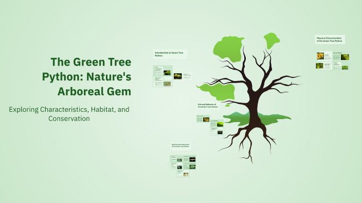 The Green Tree Python: Nature's Arboreal Gem by Carlos Blanco on Prezi