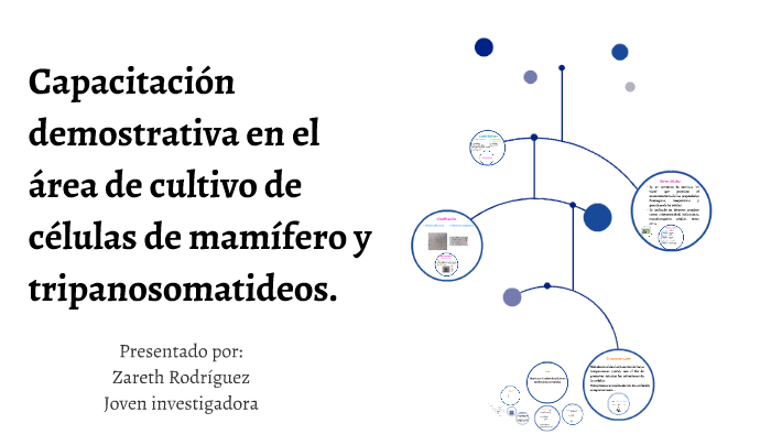 Capacitación demostrativa en el área by Zareth juliana Rodriguez ...