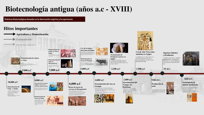 Biotecnología en la Antigüedad by Nila Misaico Cruz on Prezi