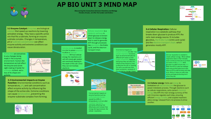AP BIO Unit 3 MInd Map by Alondra Amado on Prezi