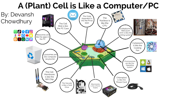 A (Plant) Cell is Like a Computer/PC by Devansh Chow on Prezi