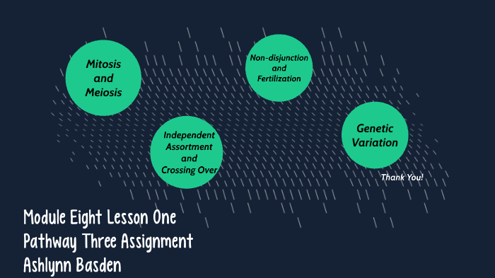 Module 8 Lesson 1 Pathway Three Assignment by Ashlynn Basden on Prezi