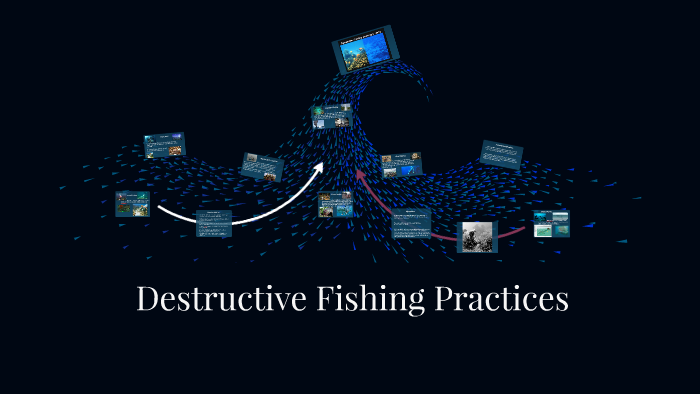 Destructive Fishing Practices by brendan magorian