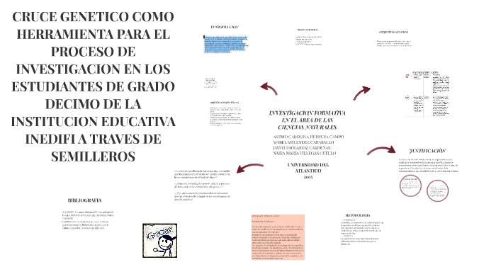 cruces geneticos como herramienta para el proceso de investi by Danyi ...