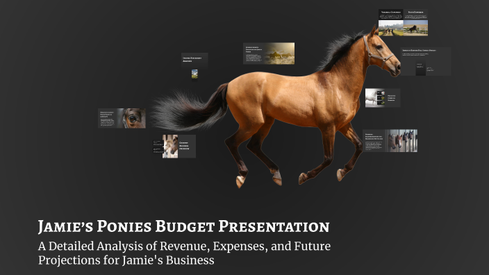 Jamie’s Ponies Budget Presentation by Geneva Vanderberg on Prezi