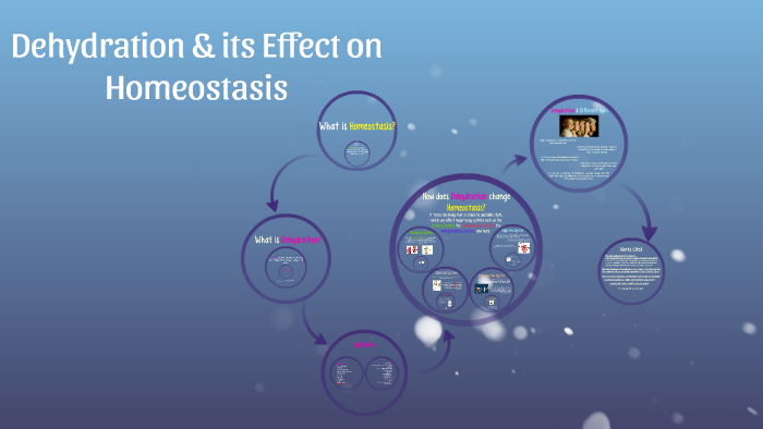 Dehydration & Homeostasis by Alyssa Lawlor on Prezi