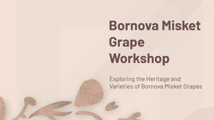 Bornova Misket Grape Workshop by Onur Abali on Prezi