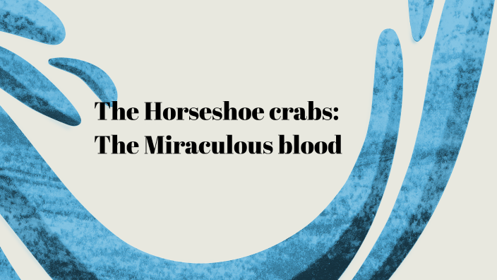 Limules: Le Sang et ses Utilisations by elyes bendali on Prezi