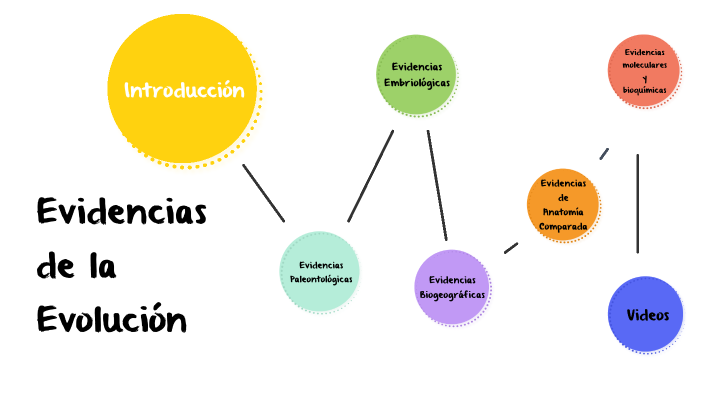 EVIDENCIAS DE LA EVOLUCIÓN by Sofía Torres on Prezi