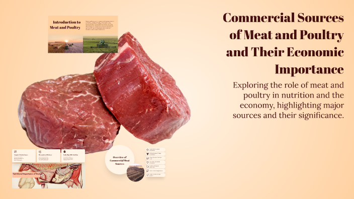 Commercial Sources of Meat and Poultry and Their Economic Importance by ...