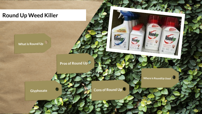 Pesticides by Aziah Smith on Prezi