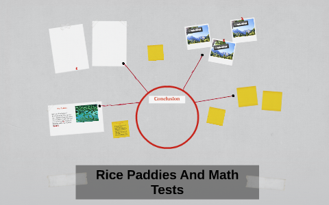 Rice Paddies And Math Tests by jake cronus on Prezi