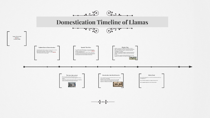 Domestication Timeline of Llamas by Logan Carmichael on Prezi